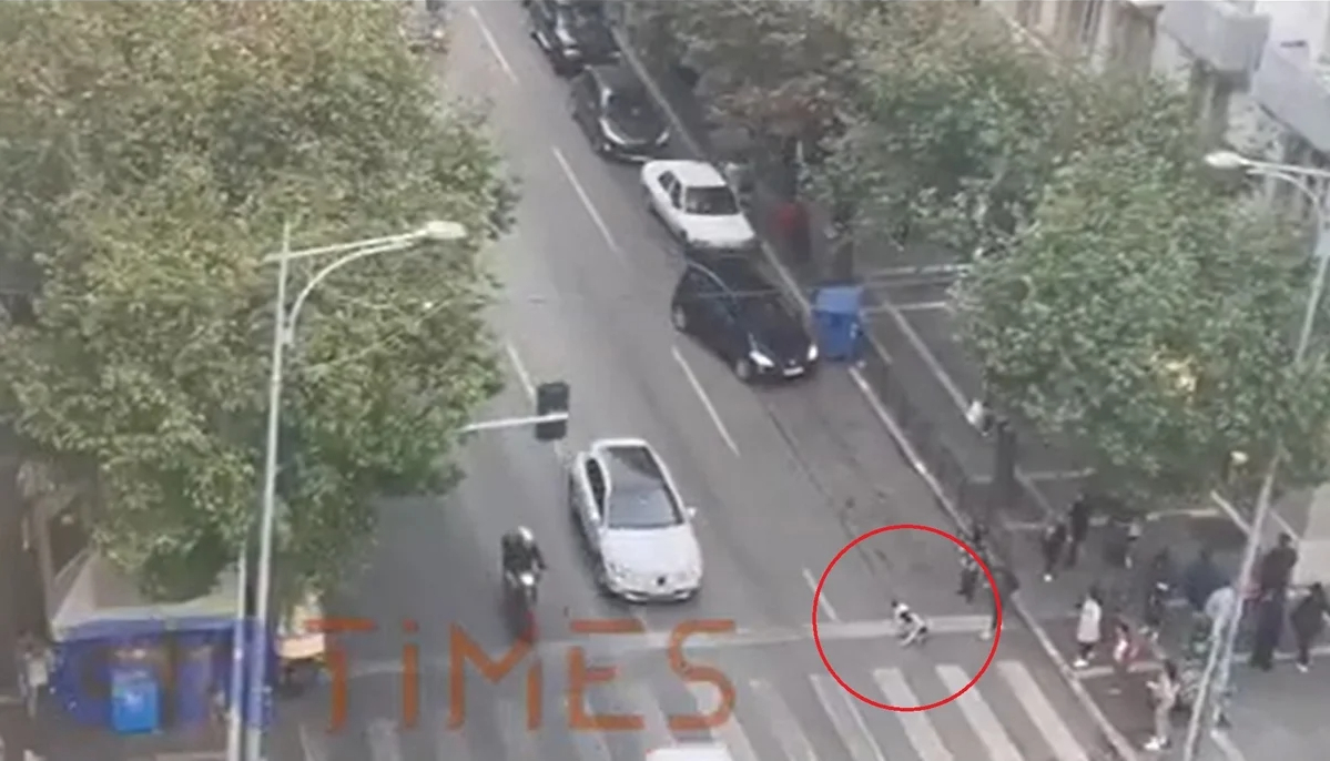 Πολίτες έγιναν τροχονόμοι για να βοηθήσουν τραυματισμένο σκύλο να ...