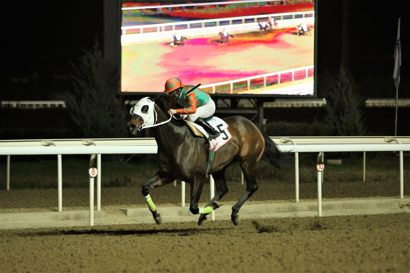 Markopoulo Park: Εντυπωσιακό θέαμα και μεγάλα κέρδη στην τελευταία ...