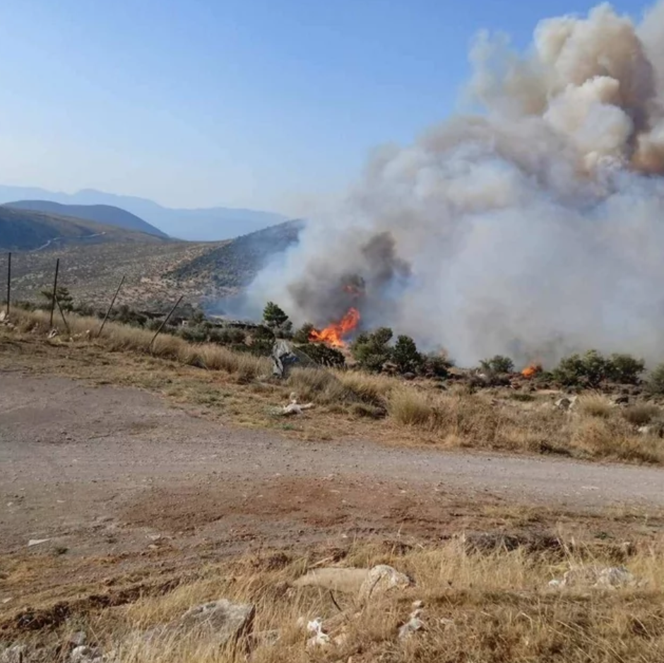 Φωτιά στη Βοιωτία: Νεκρός κτηνοτρόφος που προσπάθησε να σώσει τα ζώα ...