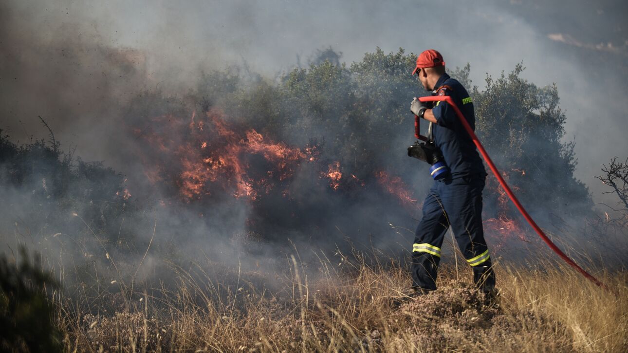 Πυροσβεστική: Στις 41 οι φωτιές το τελευταίο 24ωρο - Πού είναι υψηλός ο ...